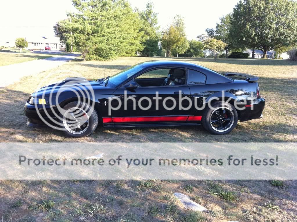 03 Mach 1 | Ford Mustang Forums