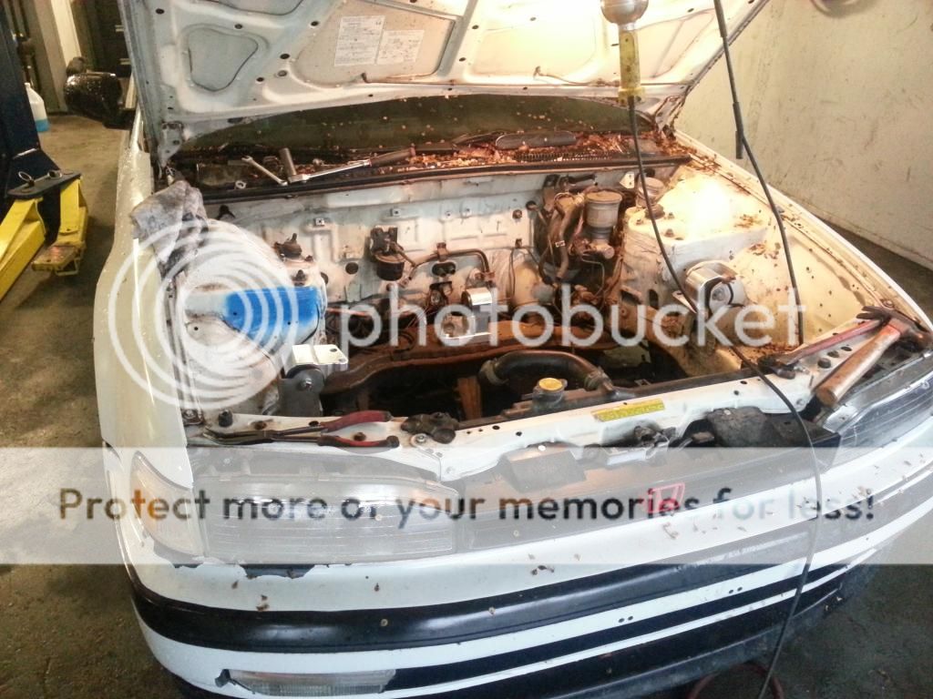 91 cb7 k24 build | Honda / Acura K20a K24a Engine Forum