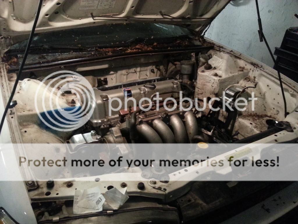 91 cb7 k24 build | Honda / Acura K20a K24a Engine Forum